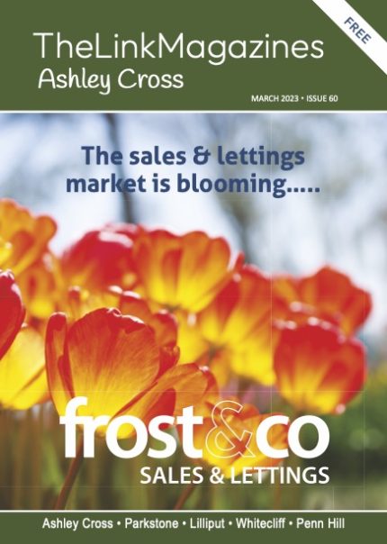 The Link Magazines | Latest Issues